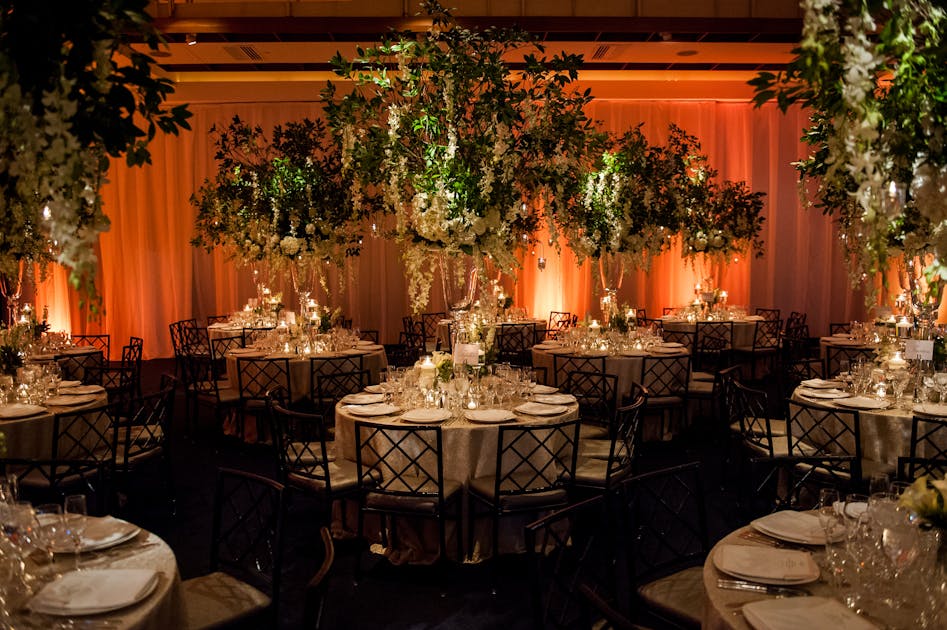 photo-dc1866f0-e348-4e2a-a73f-deb45f9dfdd2.jpg?ixlib=rails-2.1.4&w=1200 ...