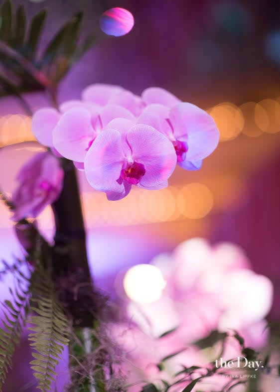 photo-b0dce036-d260-4c7e-bd12-cfcd5f95c1df.jpg?ixlib=rails-2.1.4&w=1200 ...