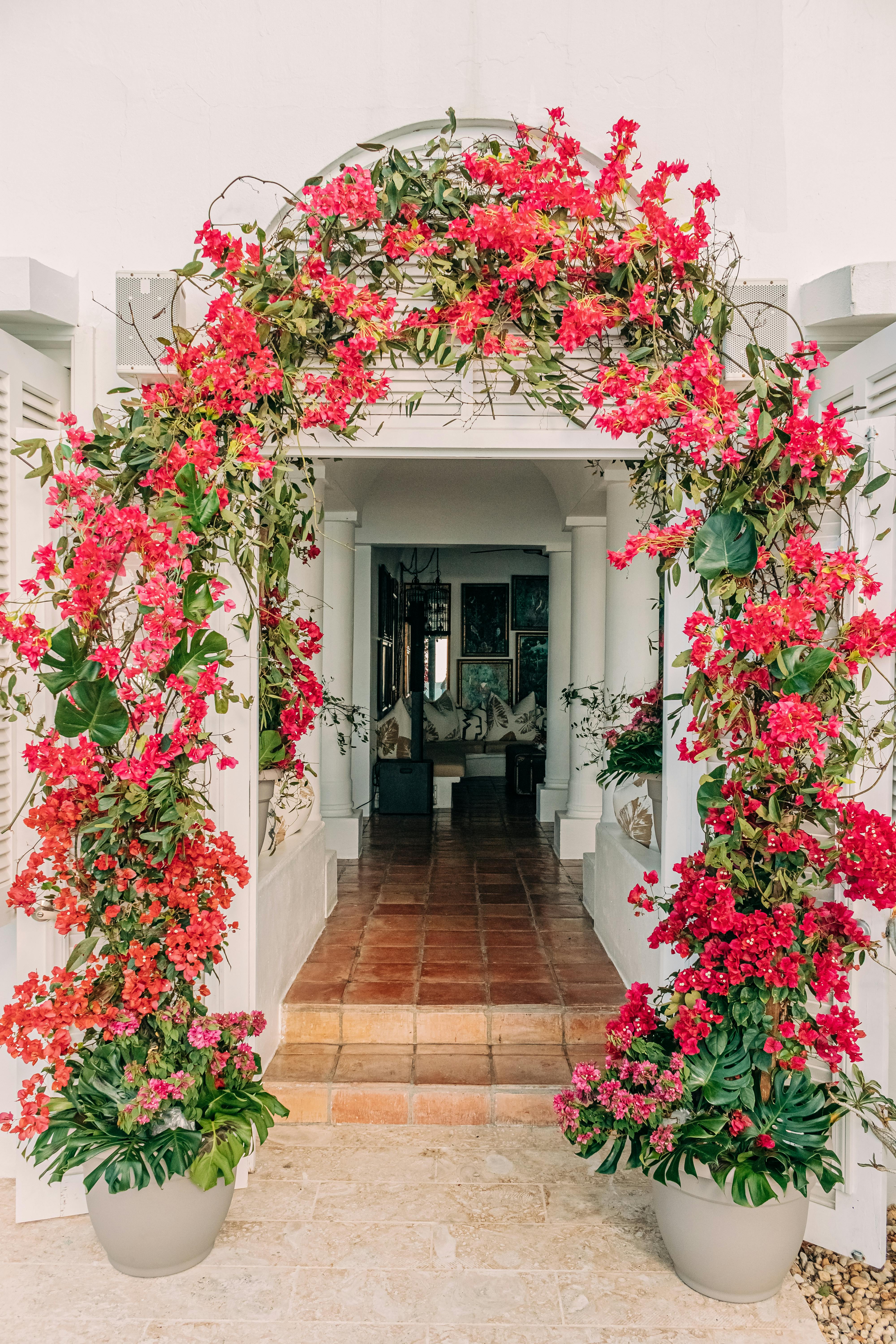 photo-ce37eec1-bb7f-405f-b63d-43ea32d7b13e.jpeg?ixlib=rails-2.1.4&w ...