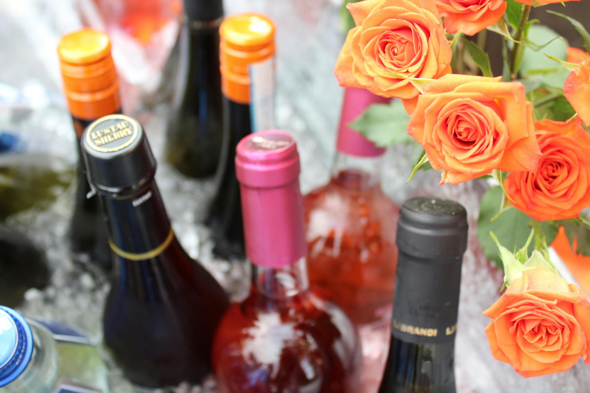 photo-97be4505-c56f-4ee7-bcb0-7c03e229e712.jpg?ixlib=rails-2.1.4&w=1200 ...