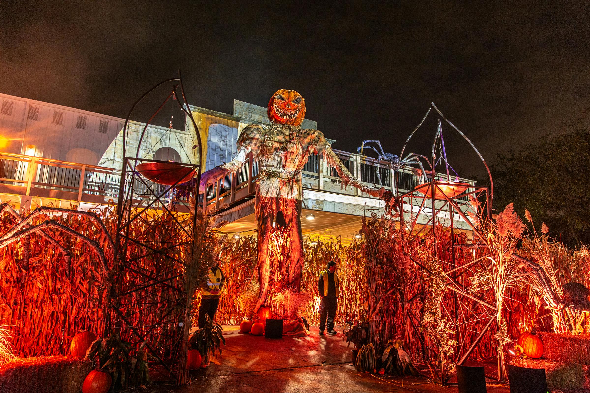 11 Creative Halloween Ideas for Your Spooky Soirée