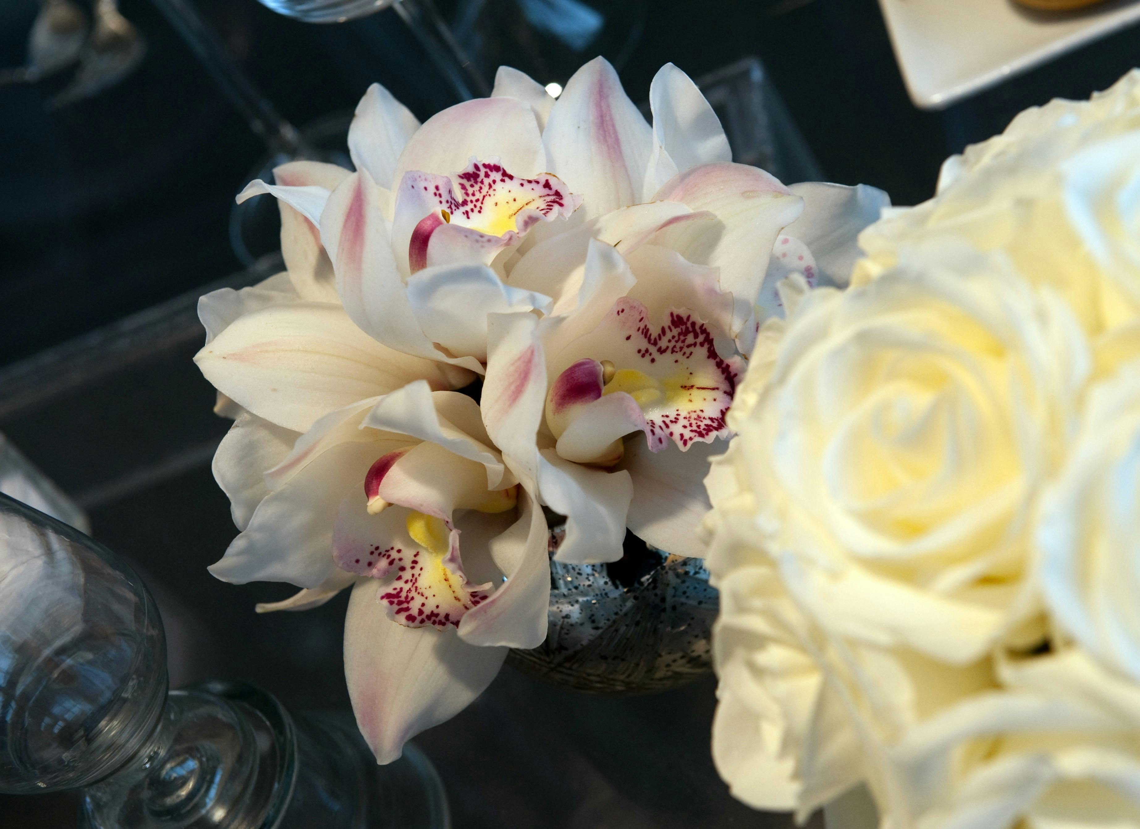 photo-becb04a3-54f9-4c68-a8d0-3a3bbd43ea05.jpg?ixlib=rails-2.1.4&w=1200 ...