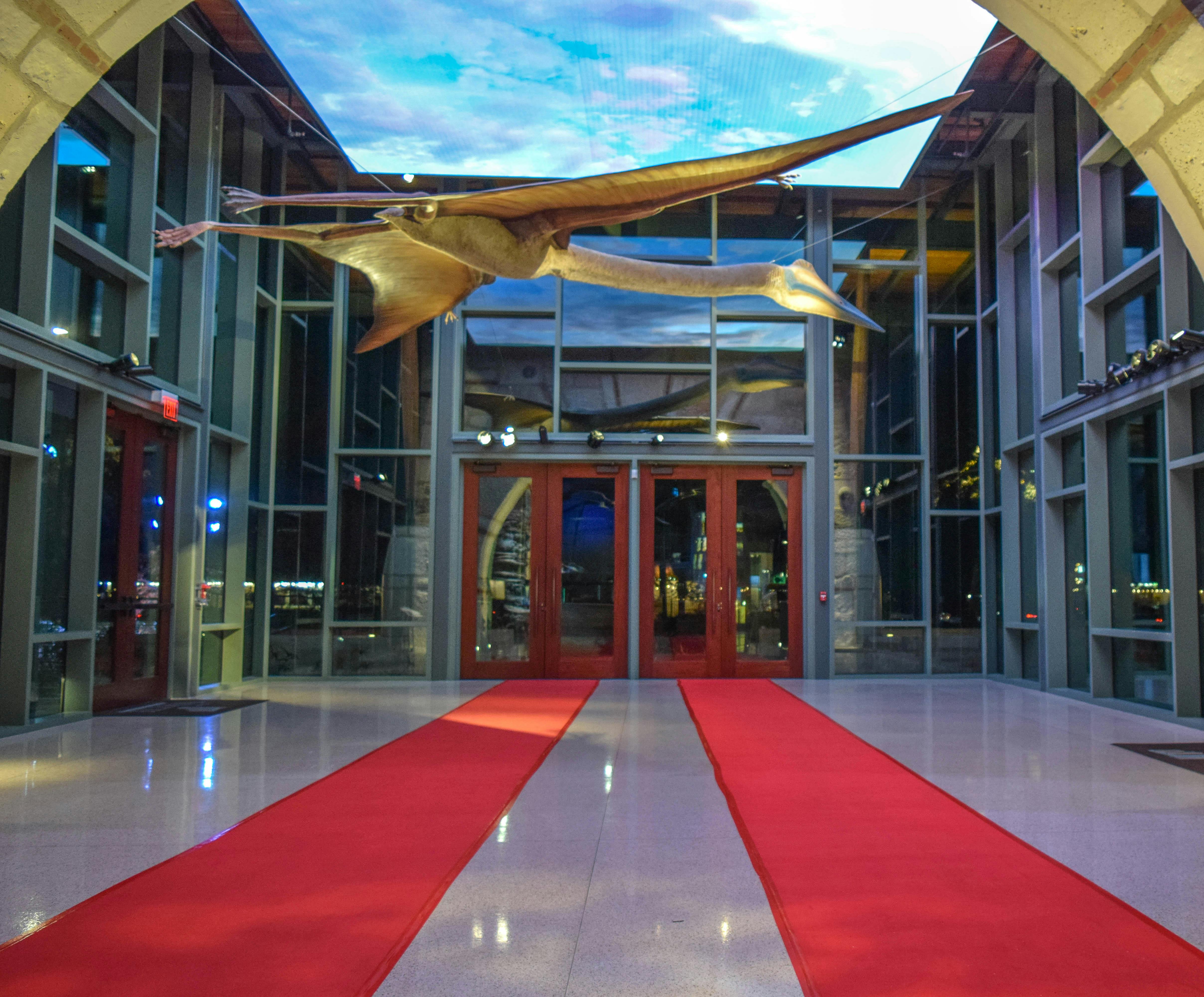 The Witte Museum | San Antonio Venue | All Events | 329 photos on ...