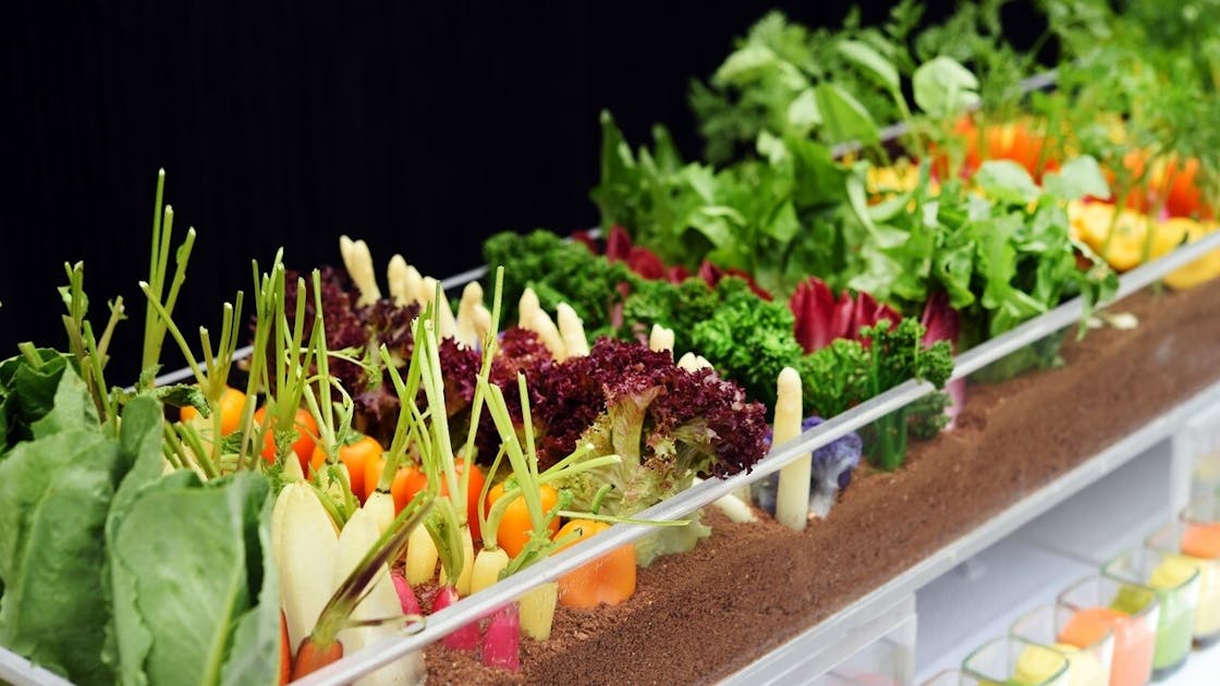 Creative Catering Ideas for Memorable Celebrations - PartySlate